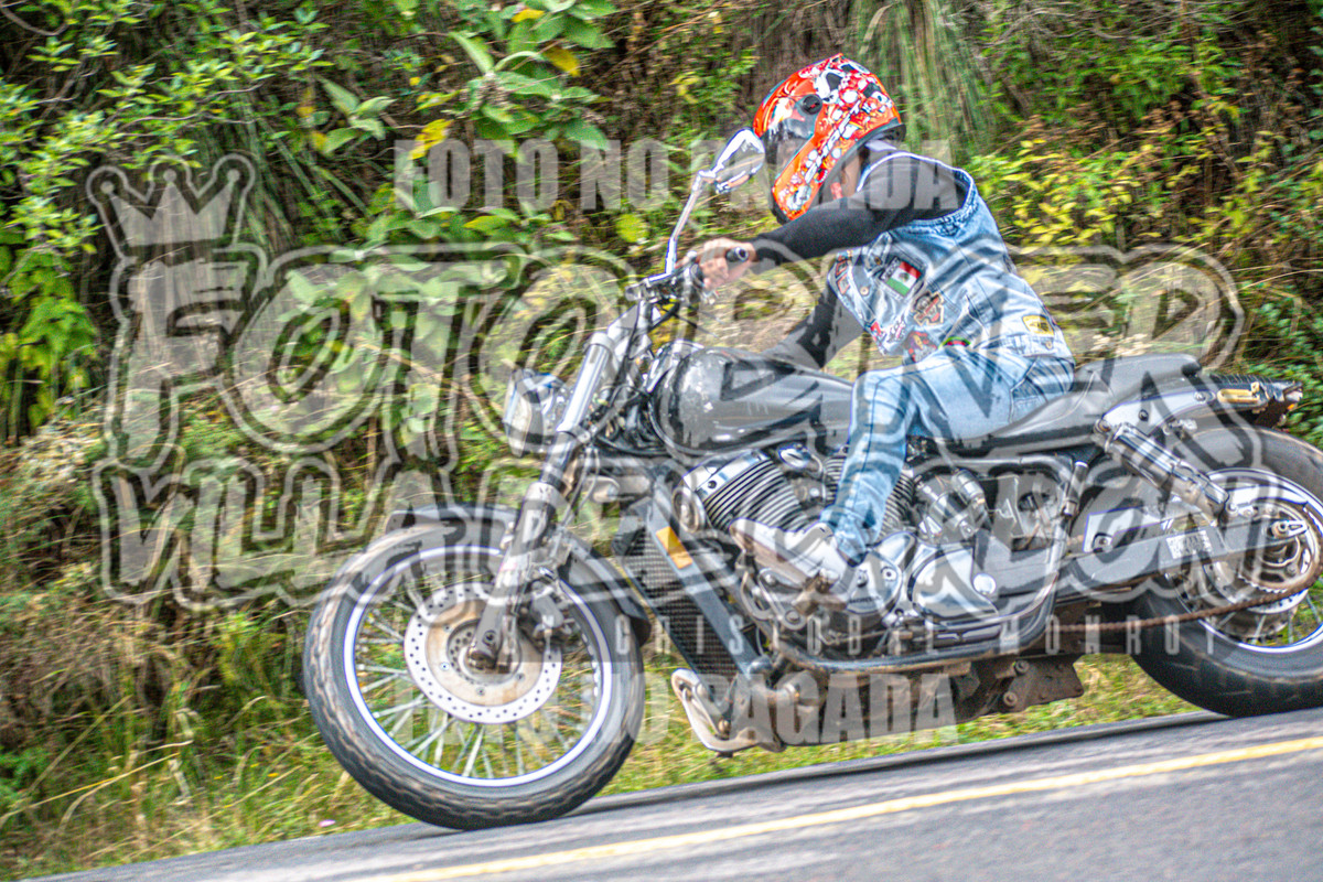 C1P1 103 — Postimages