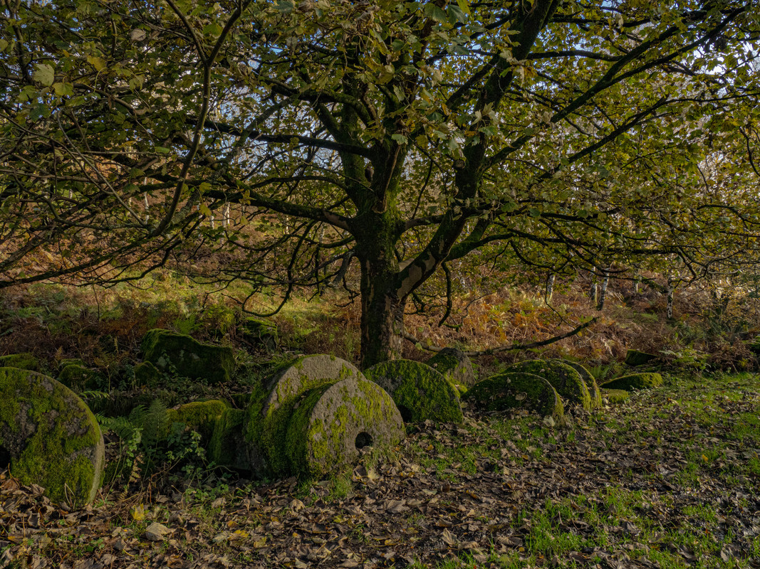 Millstones on side of the path on the old access road to Bolehill ...