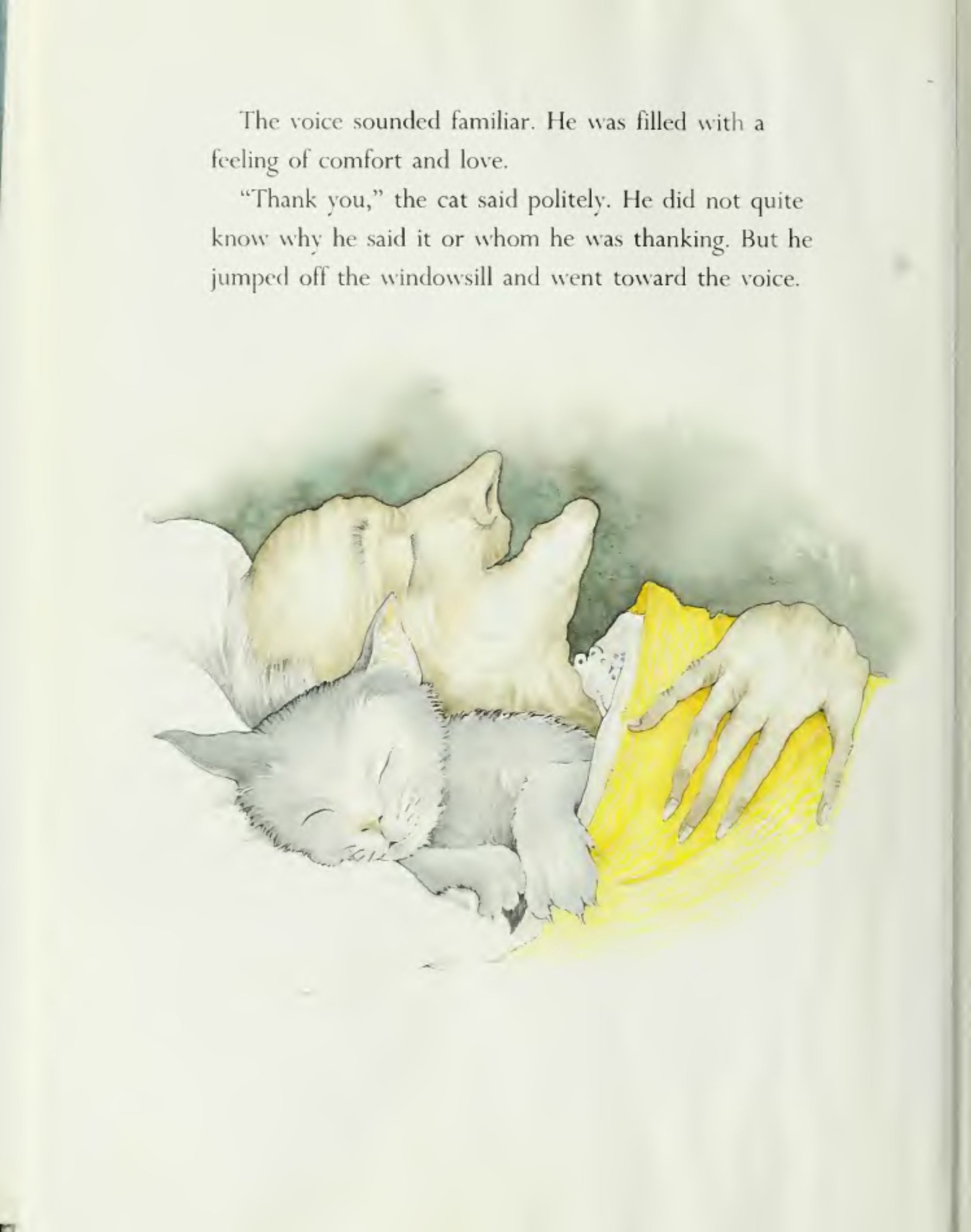 p0036 — Postimages