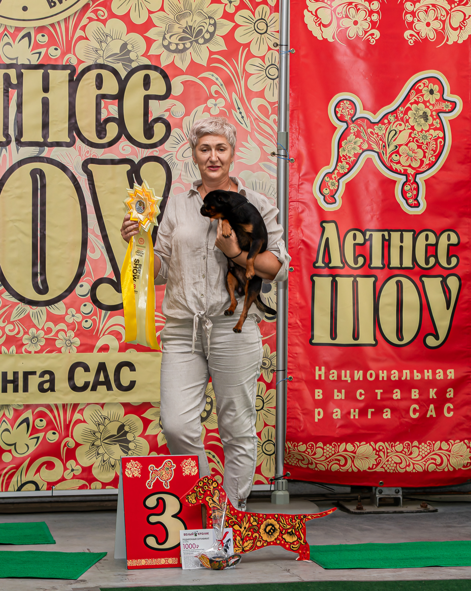 255 CR2 — Postimages