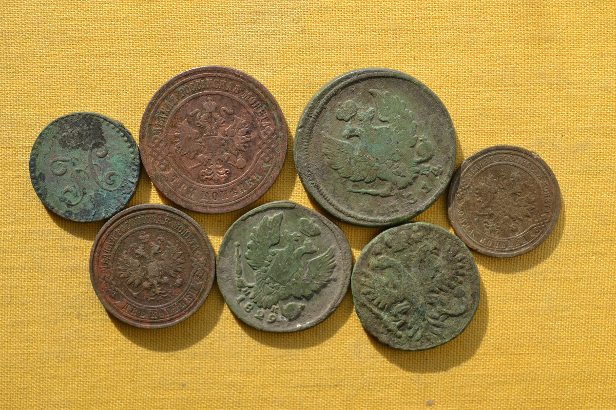 DSC 0237 — Postimages