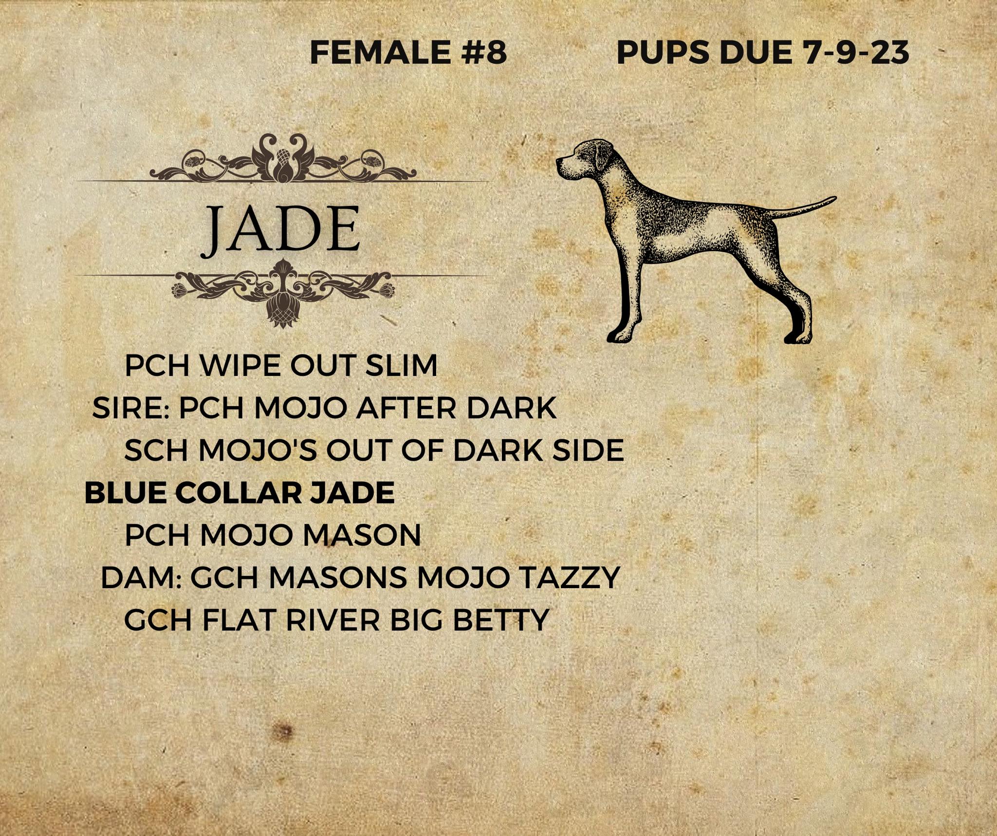 Jade — Postimages
