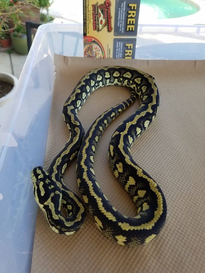 right one — Postimages