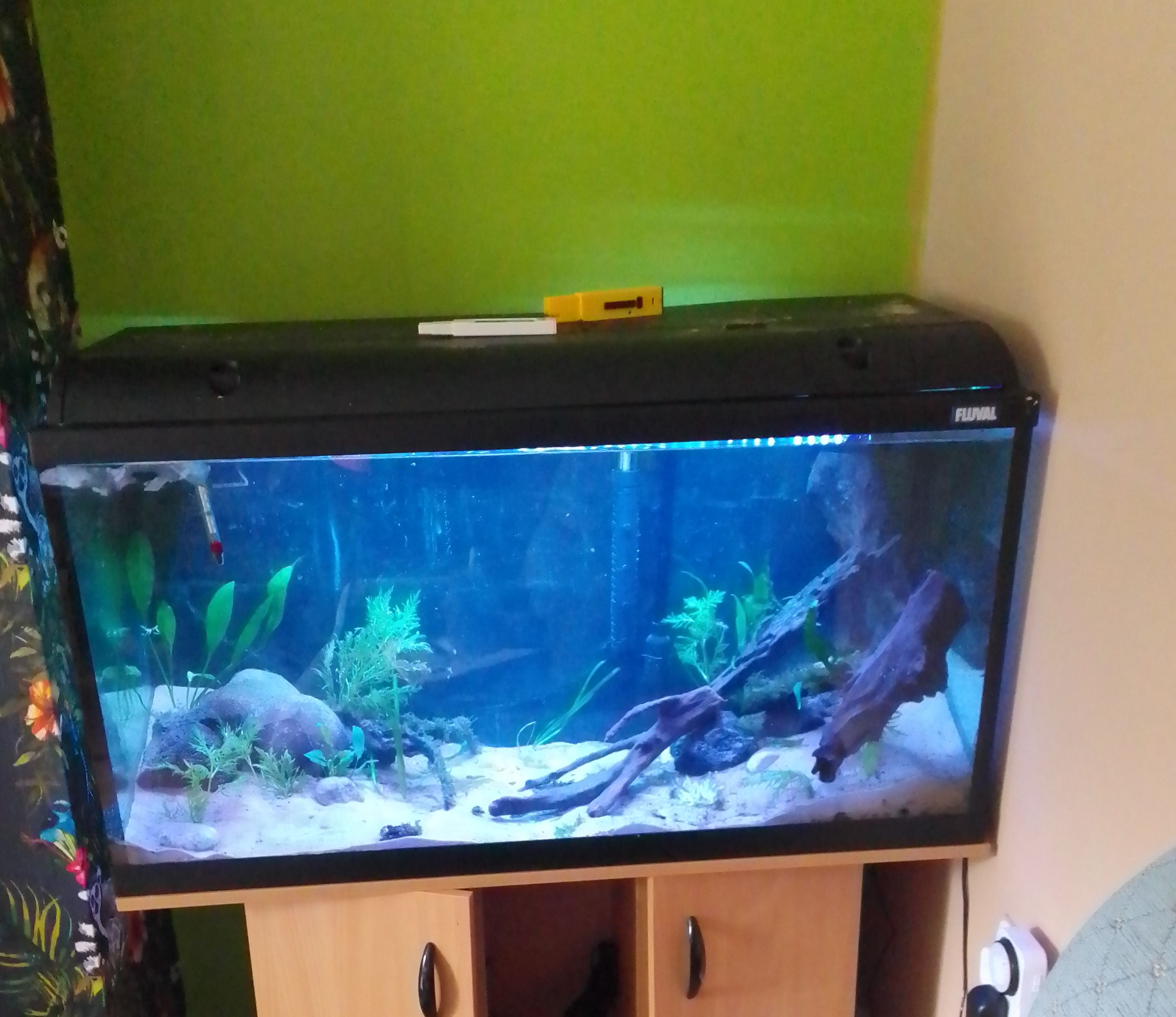 IMG 20240717 161310 2 — Postimages