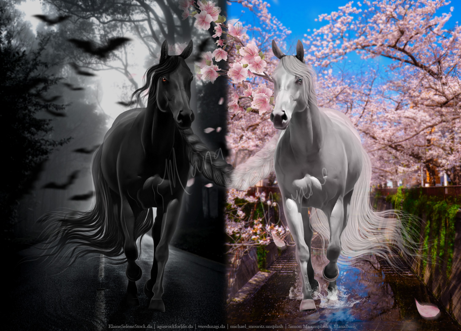 wolf comm wip — Postimages