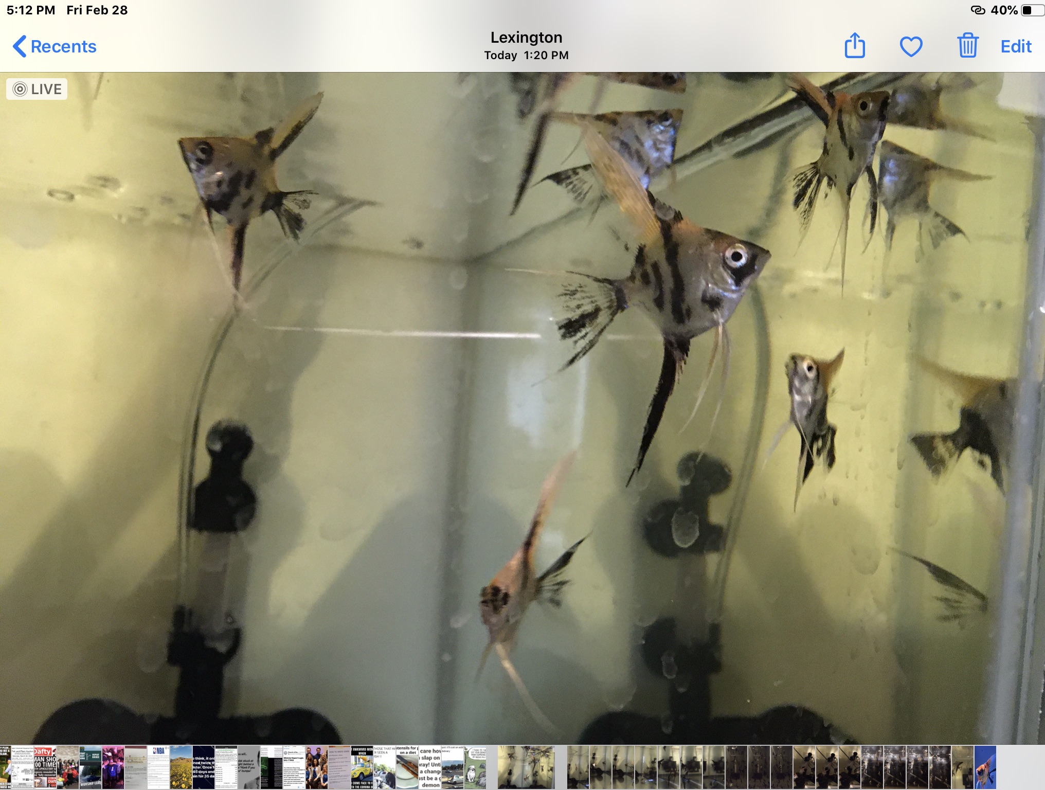 View recent photos — Postimages