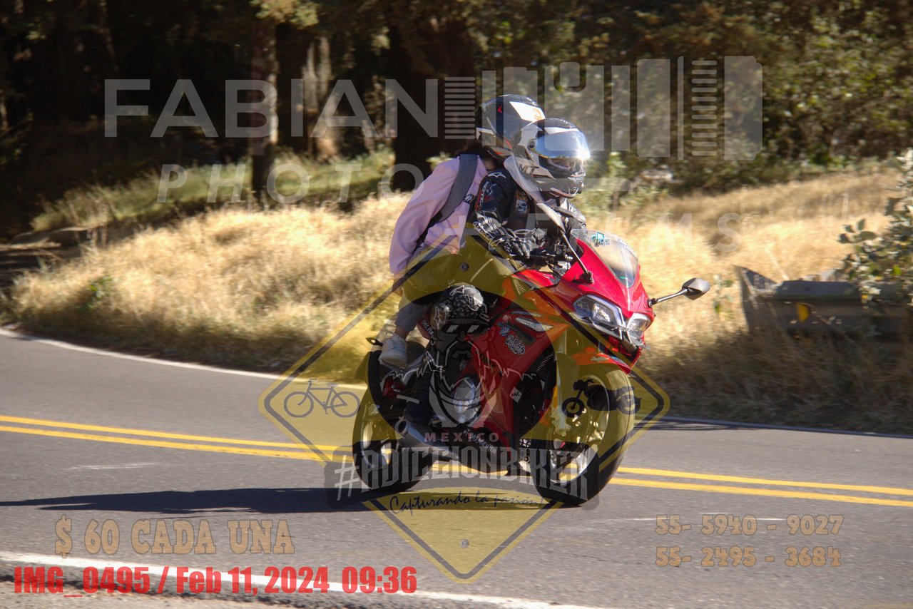 IMG 0495 — Postimages