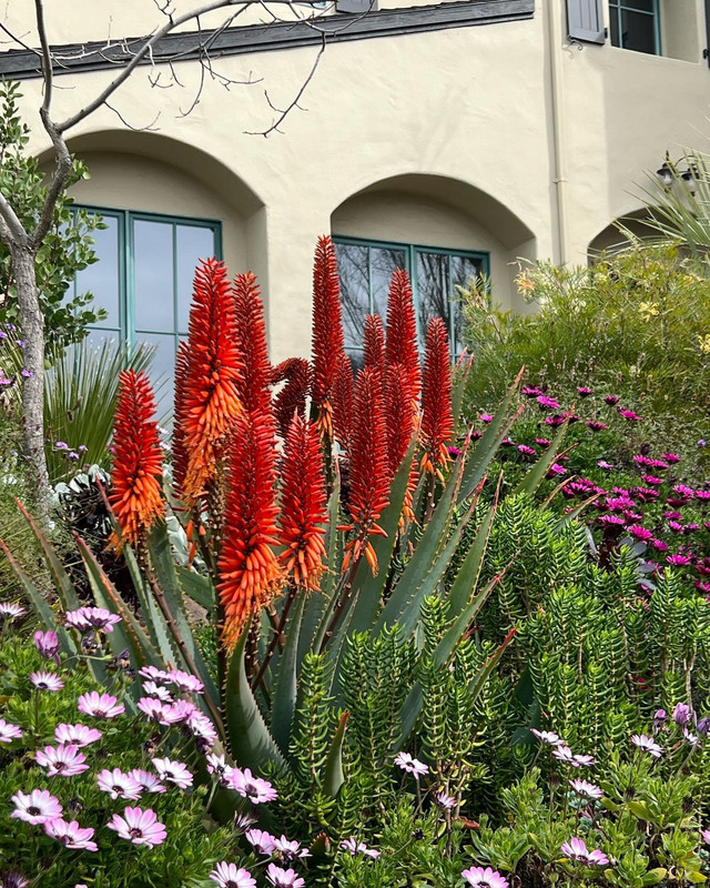 IMG 1329 — Postimages