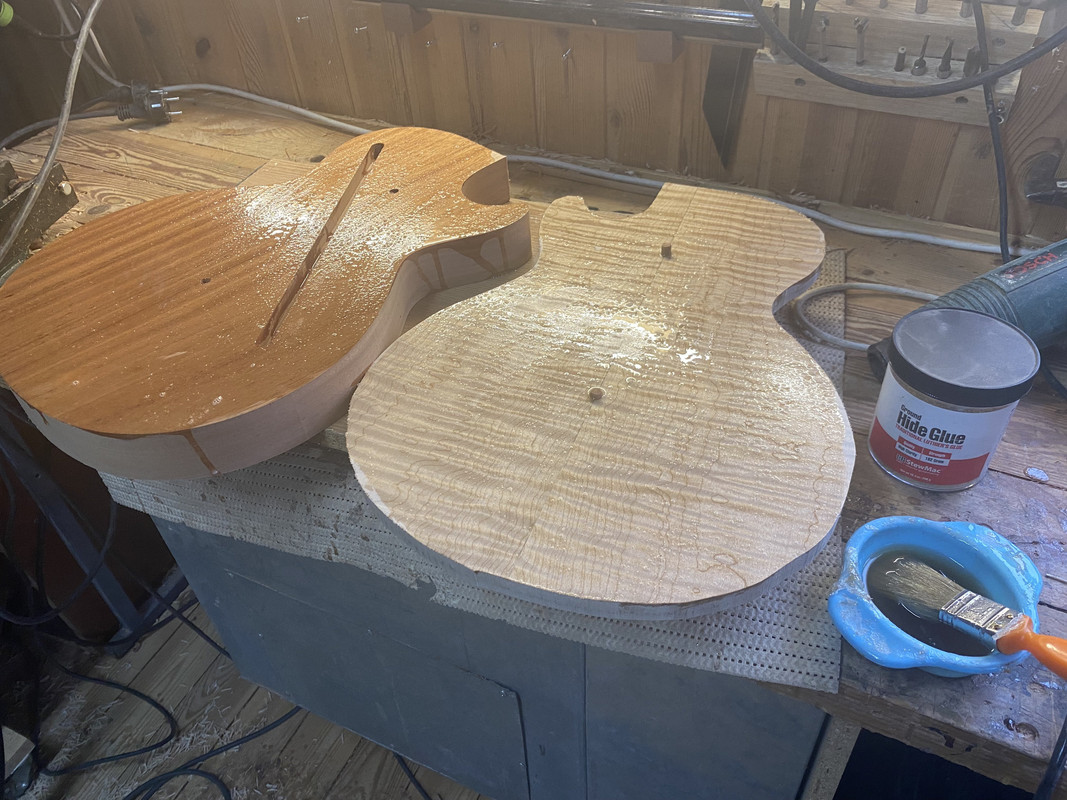 IMG 8295 — Postimages