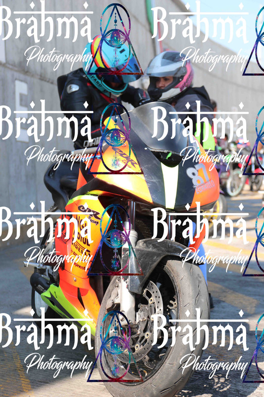 IMG 3316 — Postimages