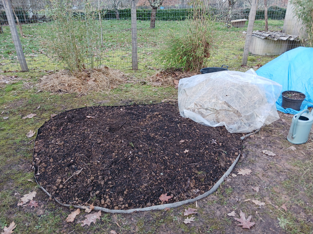 20240107 165000 — Postimages