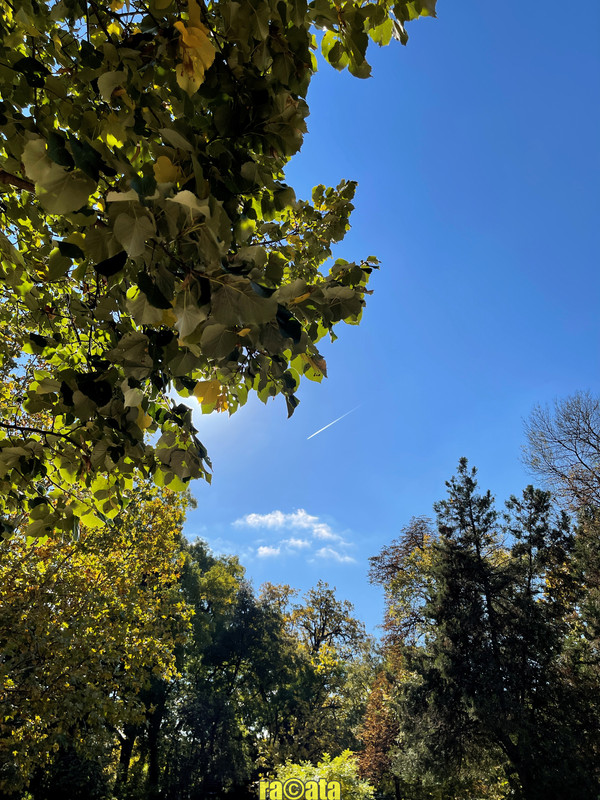 batch IMG 1533 — Postimages