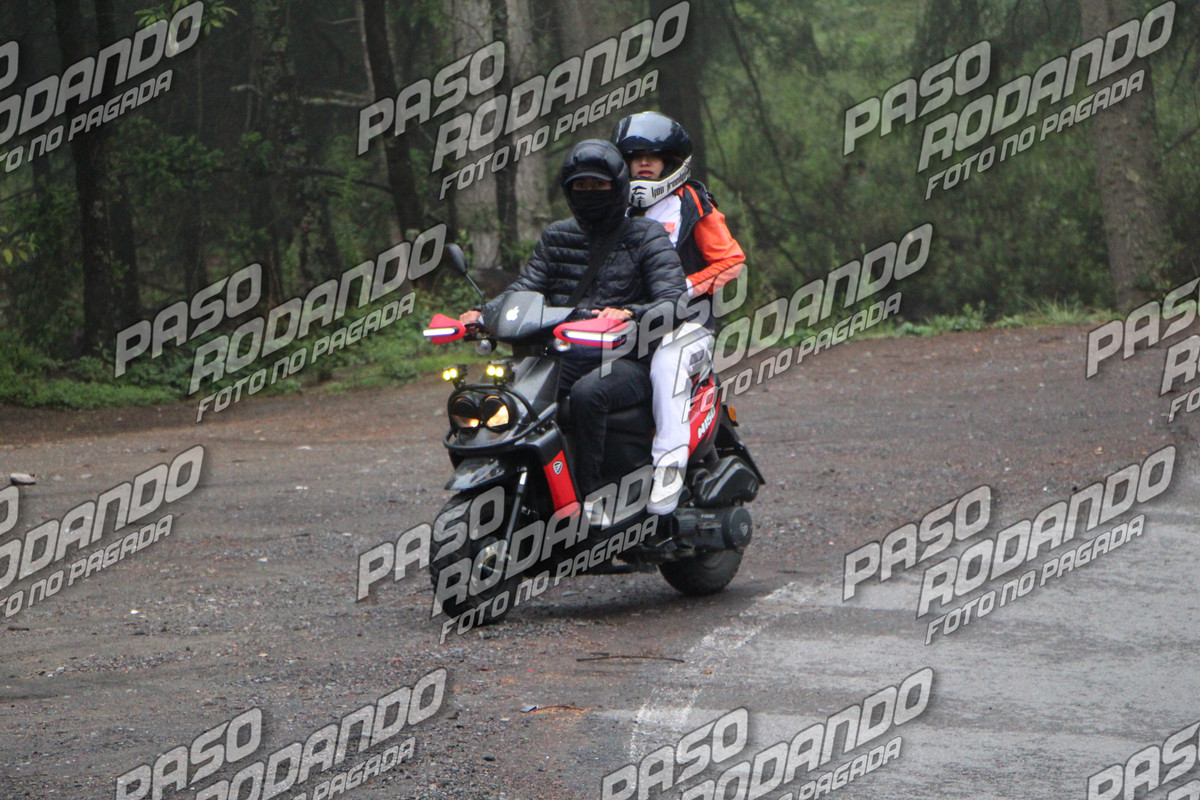 IMG 0705 wm 166042 30000000075 watermarked — Postimages