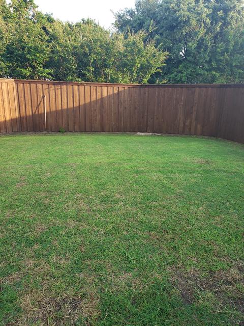 Light green patches in bermuda | Lawn Care Forum