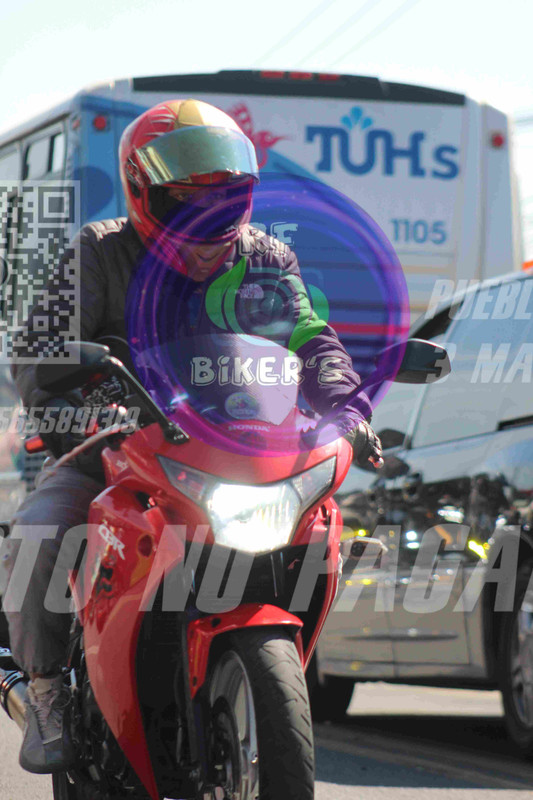 batch IMG 2313 — Postimages