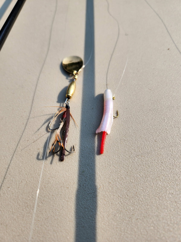 IMG 20250217 123934 — Postimages