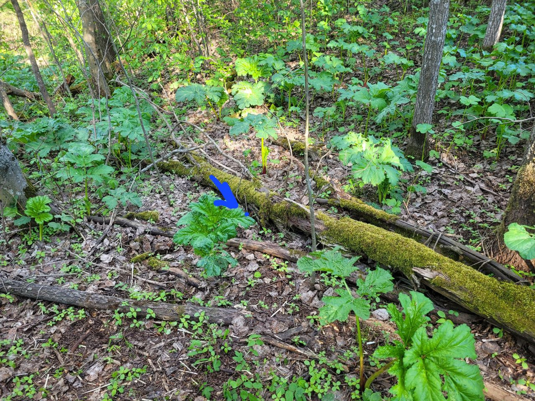 IMG 20230518 194957 380 — Postimages