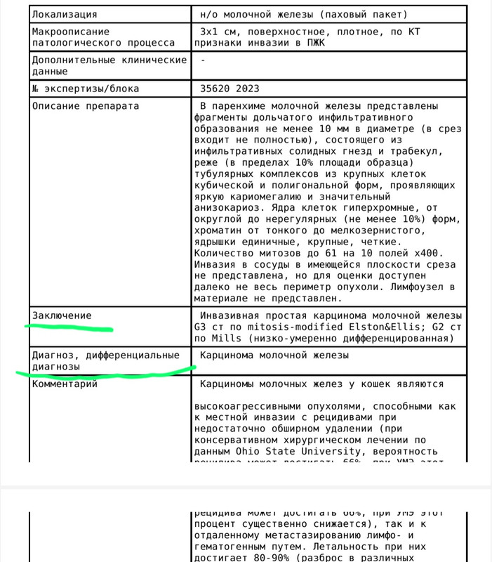 Screenshot 20230716 182752 One Drive — Postimages