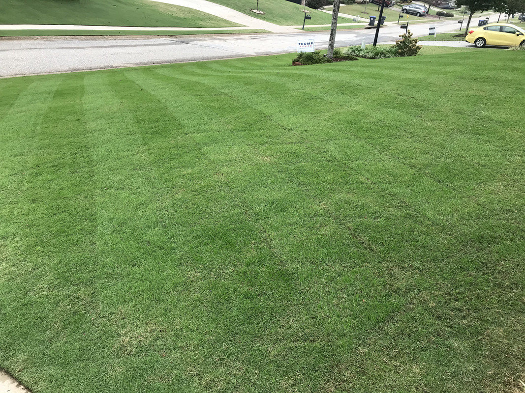 Front Lawn 2 10 10 20 — Postimages