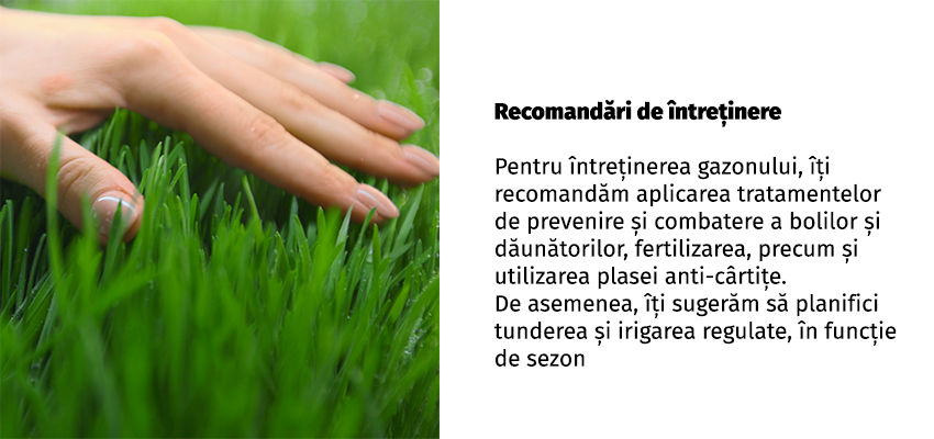 Gazon natural rulat OxyGazon tip Royal Seceta, 1 palet x 40 mp - eMAG.ro