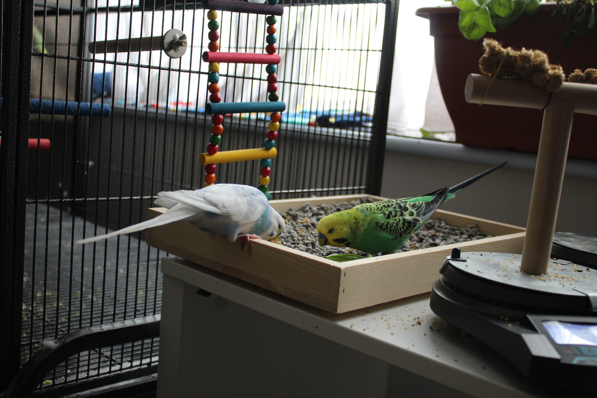 20230727113414 IMG 0675 — Postimages