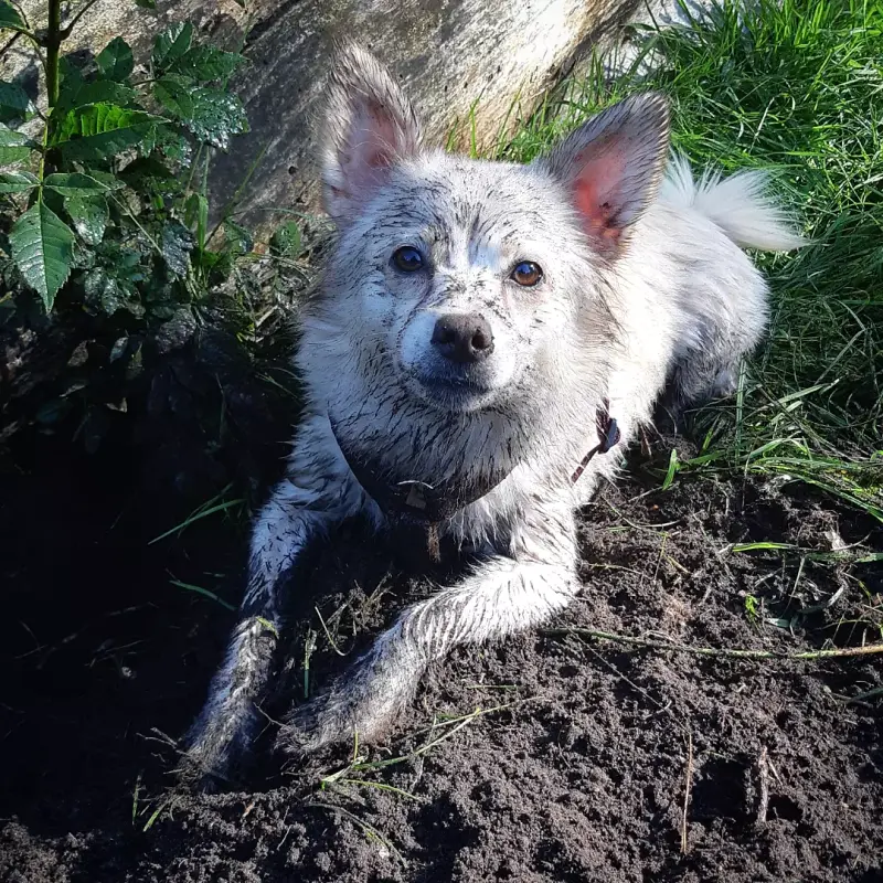 IMG 20230905 110147 424 — Postimages