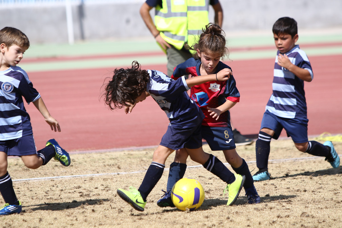 VIK 2106 — Postimages