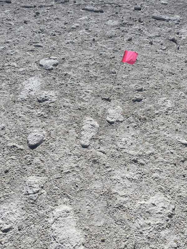 DGRVP-EHow To Reach The Stars (and Shield Mars) with David Kipping ...