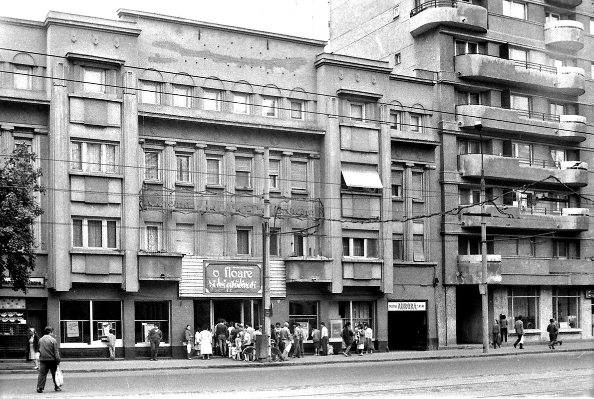 cinema Aurora — Postimages