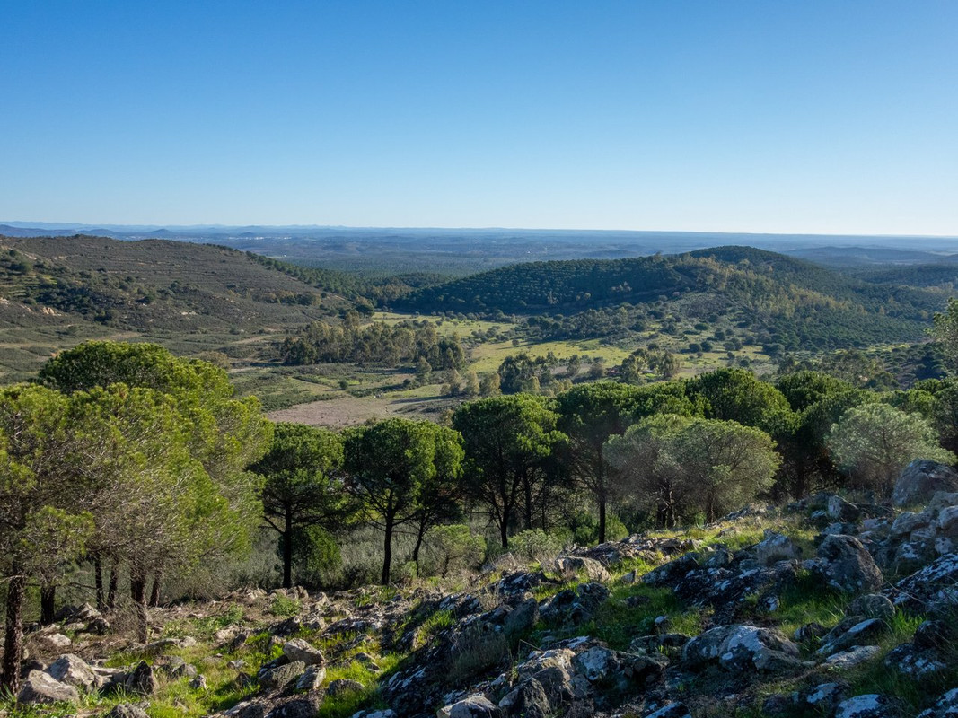 sin título 07376 — Postimages