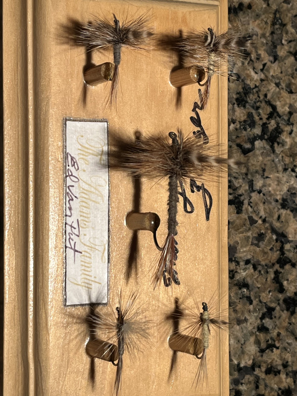 IMG 3533[1] — Postimages