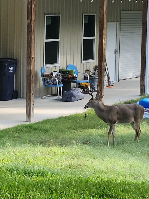 image000000 — Postimages