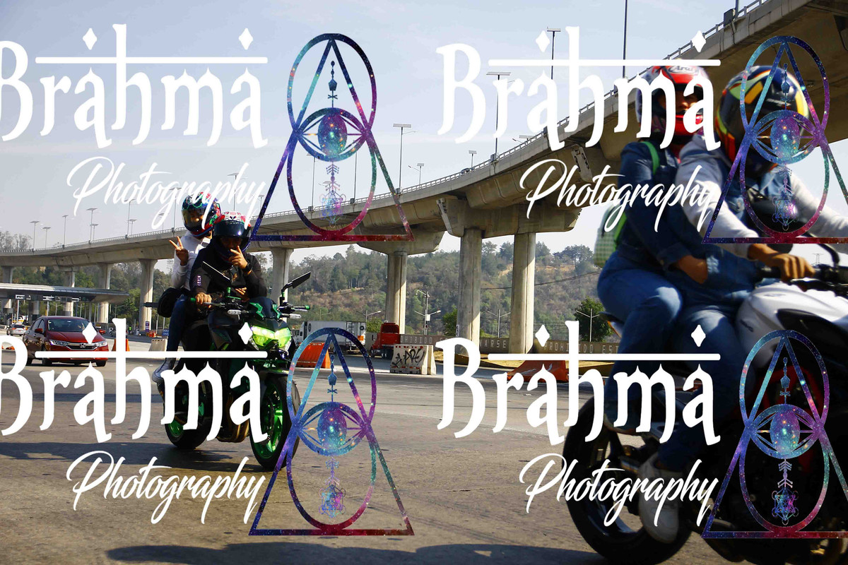 MG 0309 — Postimages