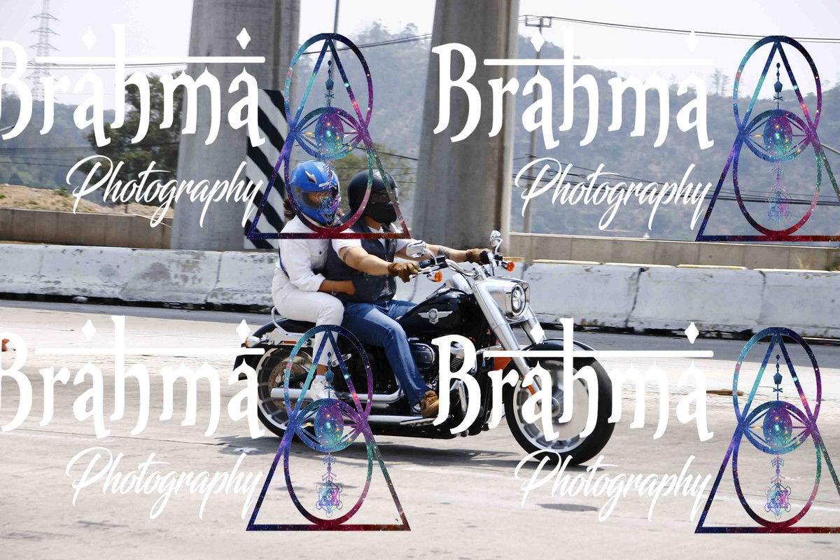 MG 4822 — Postimages