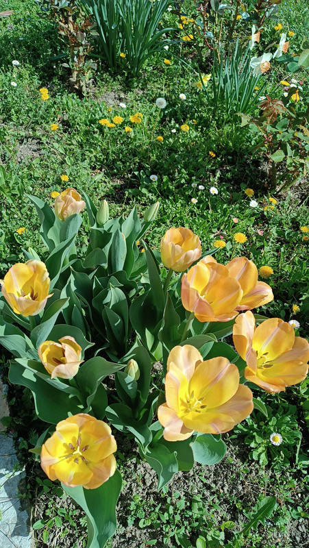 IMG 20240331 104845 — Postimages