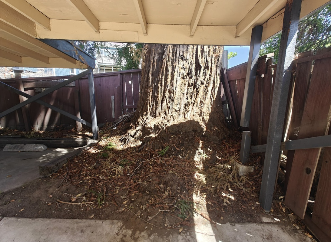 C31190 F6 A489 49 F4 BB28 B6436 C4 E3 D0 D — Postimages