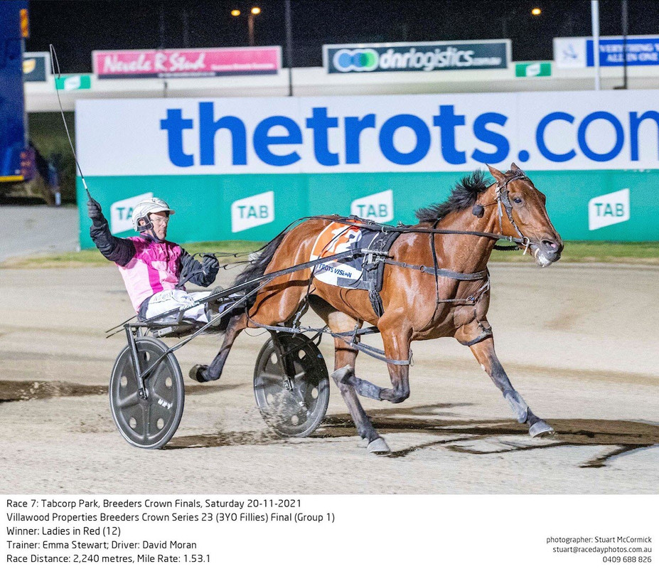 News Article - Australian Harness Racing