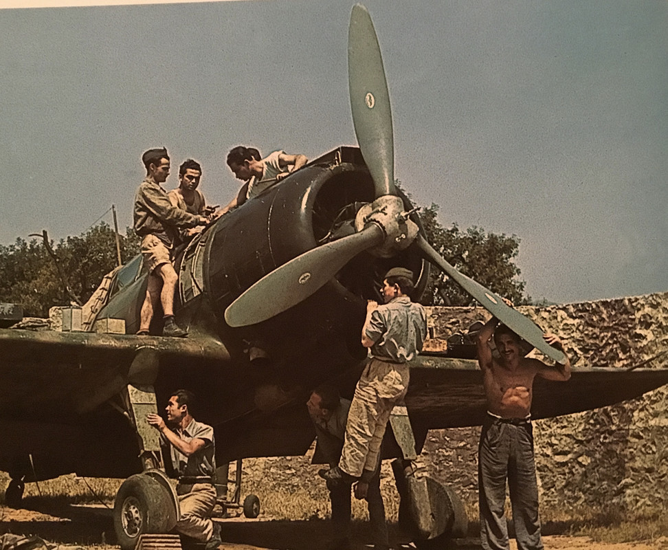 WW2 Italian “Celeste” prop color - Aircraft WWII - Britmodeller.com
