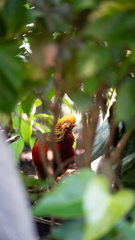 My most favourite photo ever taken and edited! Thoughts? : r/photocritique