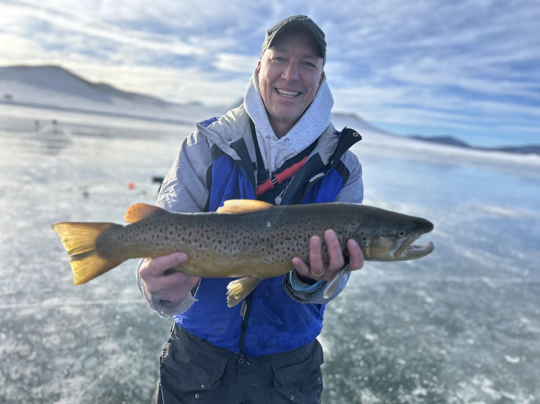 Brown — Postimages