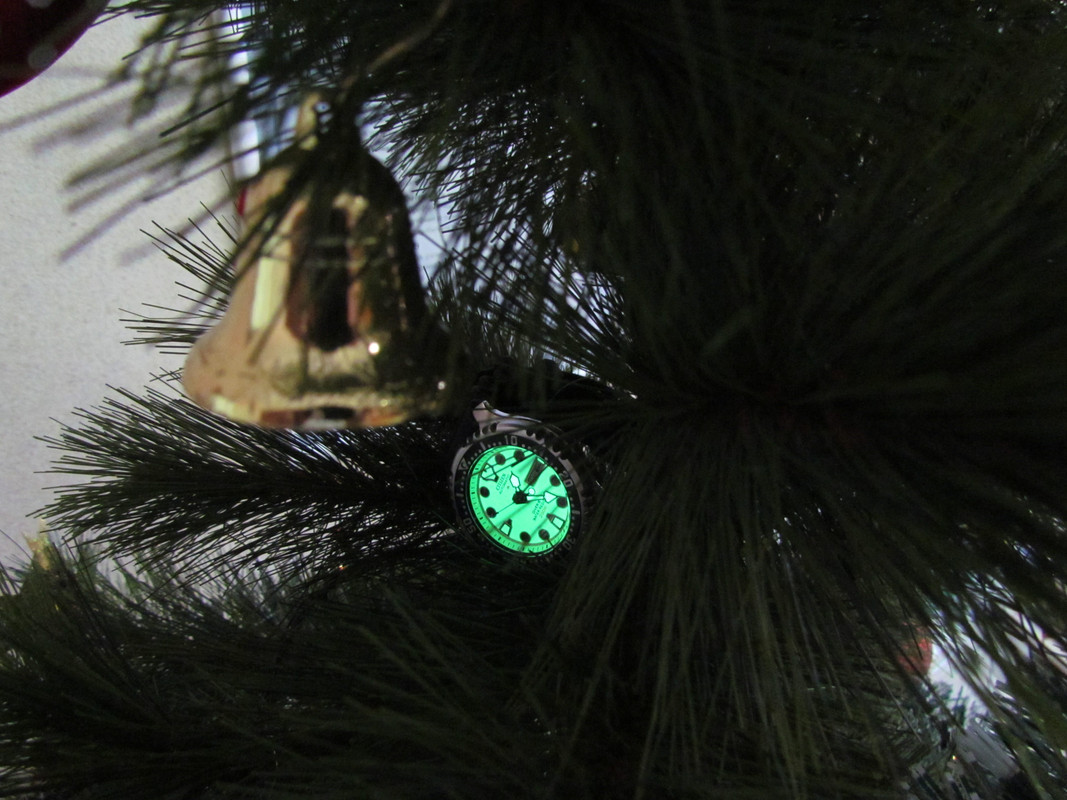 IMG 8406 — Postimages