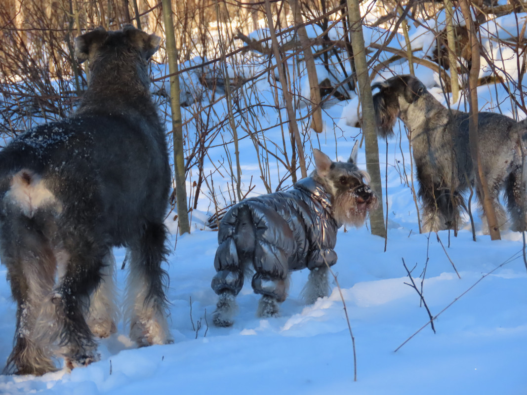 IMG 0208 — Postimages