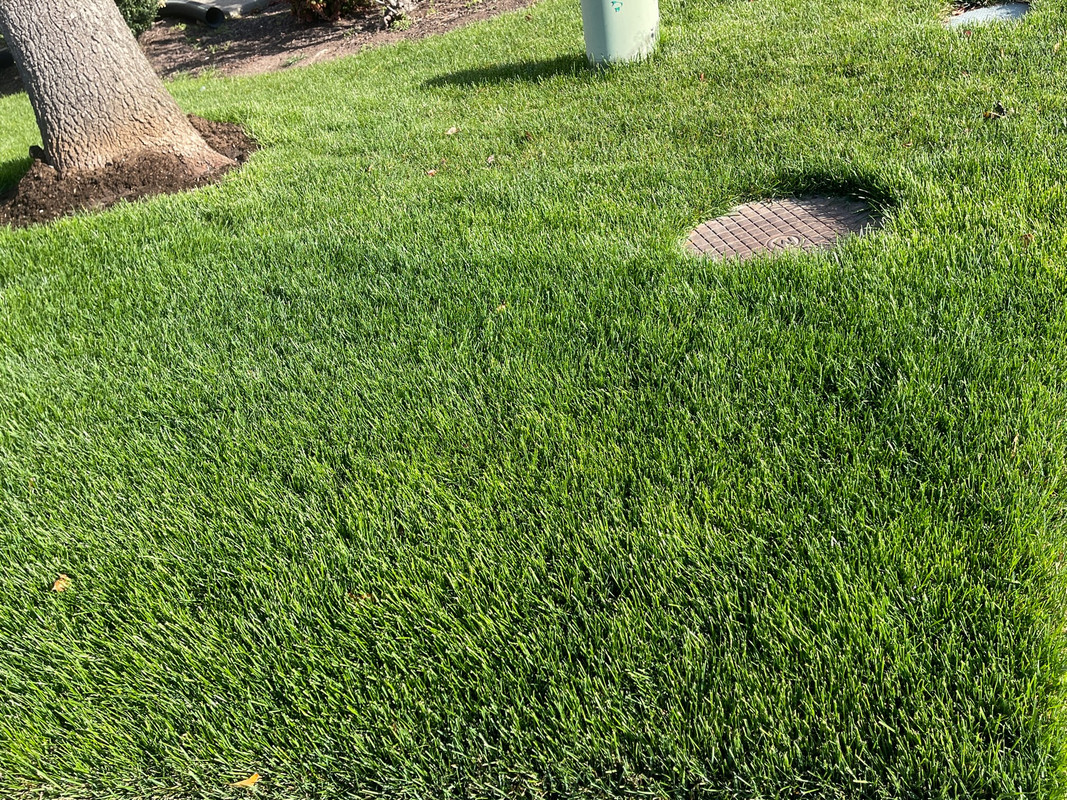 IMG 8712 — Postimages