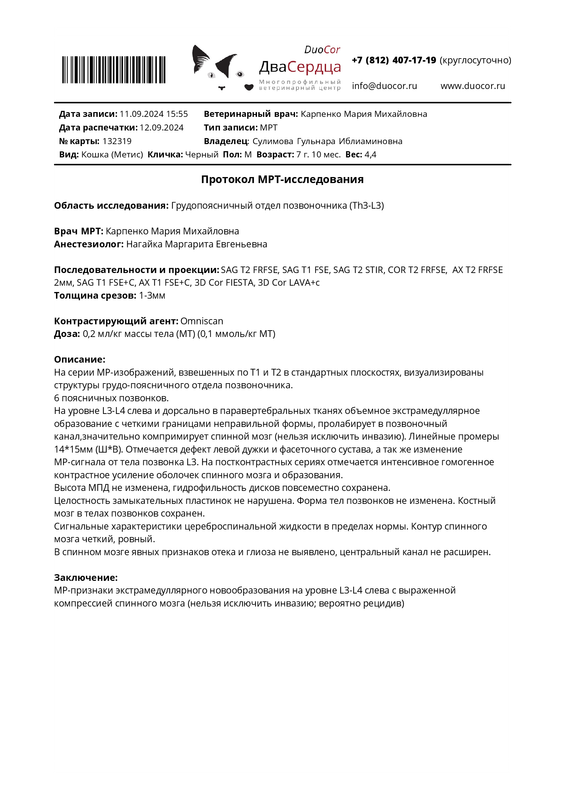 Протокол МРТ исследования Кошка Черный ( ЭМК 132319) A6761 E4874 F84 C3 ...