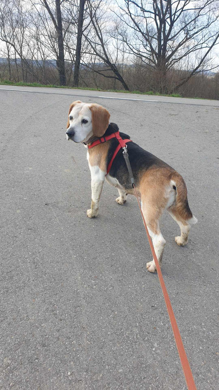 Emma 5 — Postimages