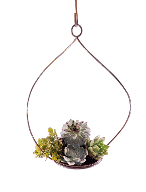 8 TW WOK 10 DISPLAY — Postimages