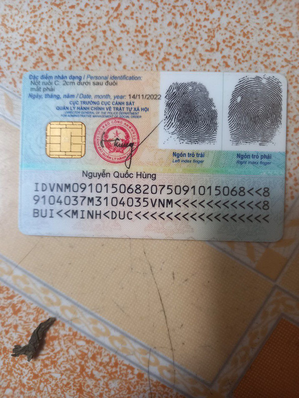 CCCD 11 — Postimages