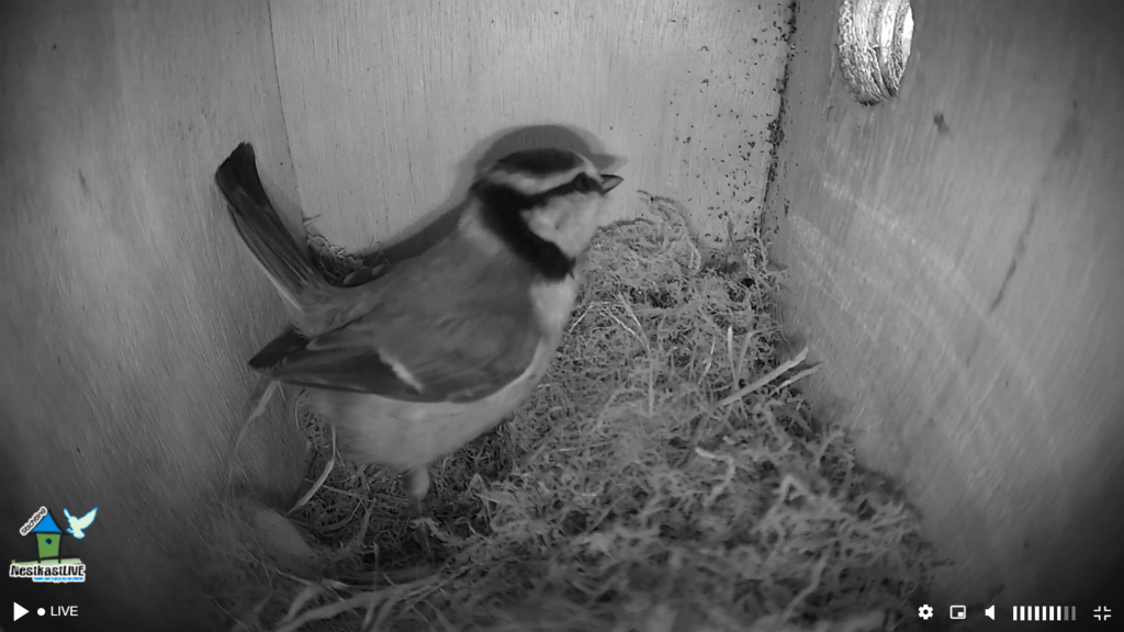 2022 03 28 — Postimages