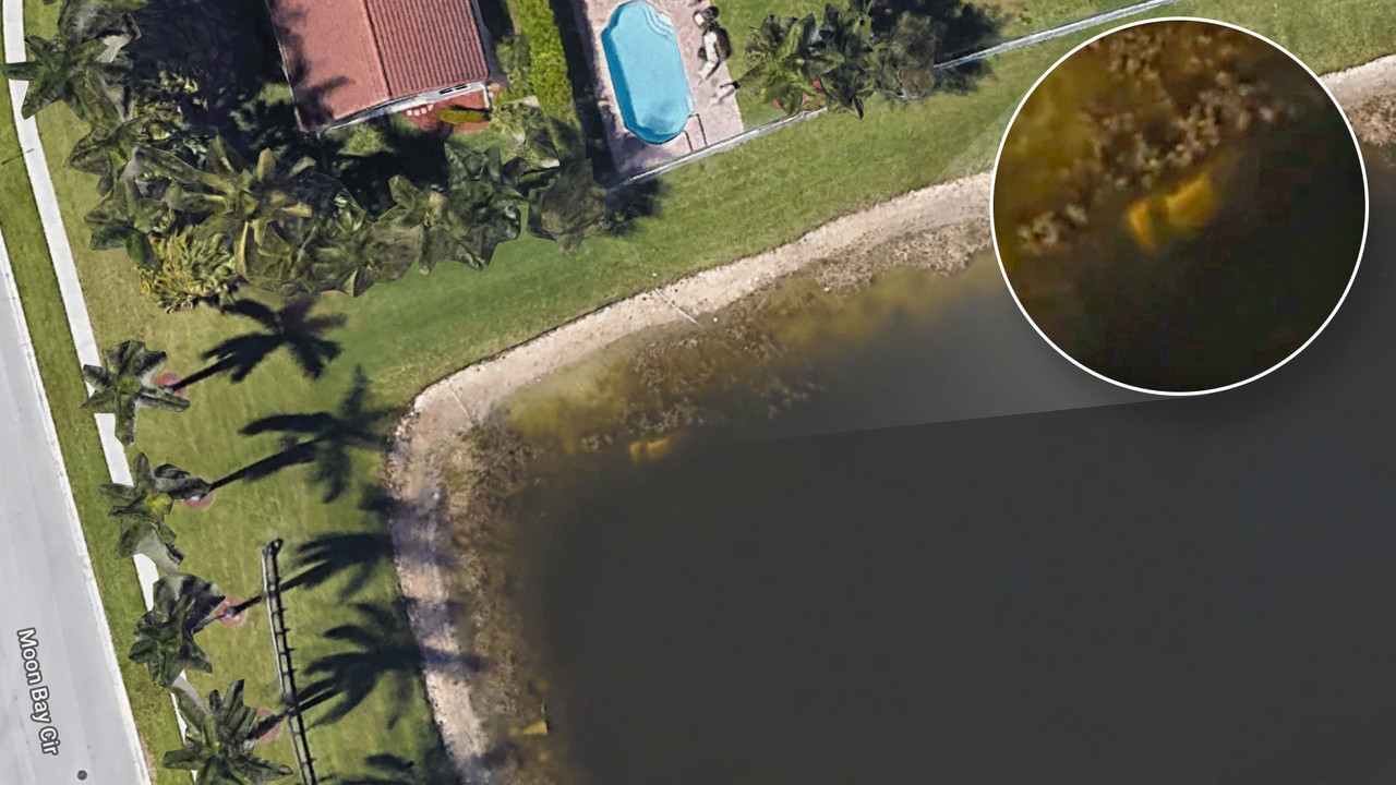 Castaway movie - question re "HELP" sign on beach. > General Discussion ...
