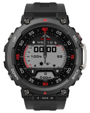 Watch face request (conversion from TRex to TRex 2) - Amazfit Watch faces